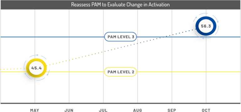 PAM - Insignia Health