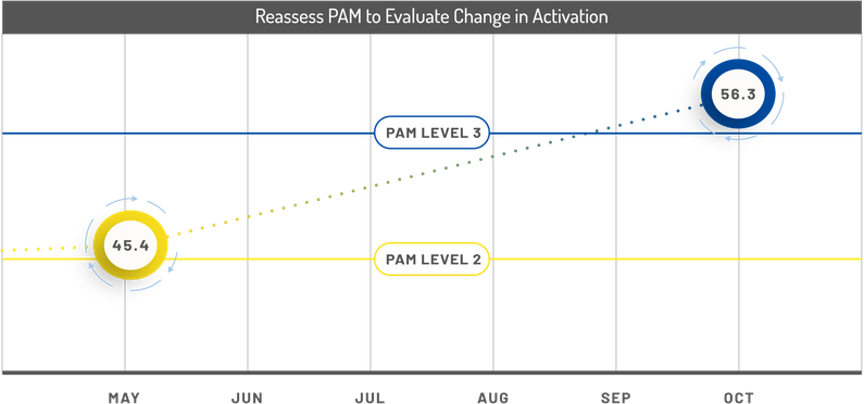 PAM - Insignia Health