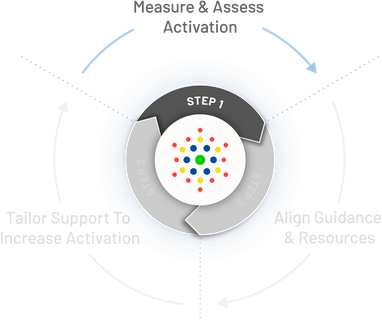 PAM - Insignia Health
